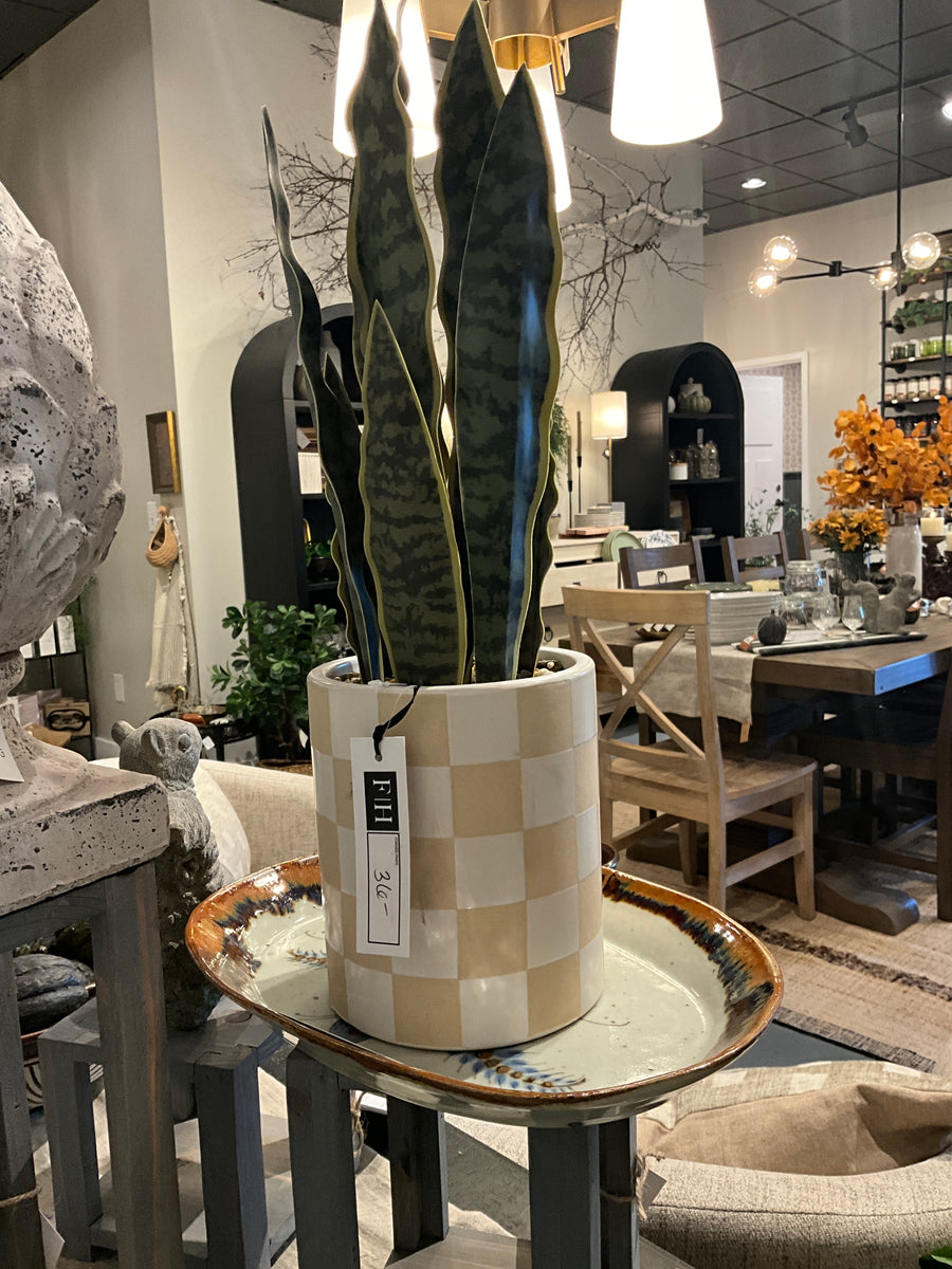Check plant base – Eastwood home