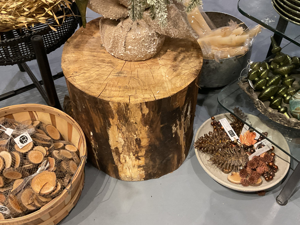 Tree trunk base – Eastwood home