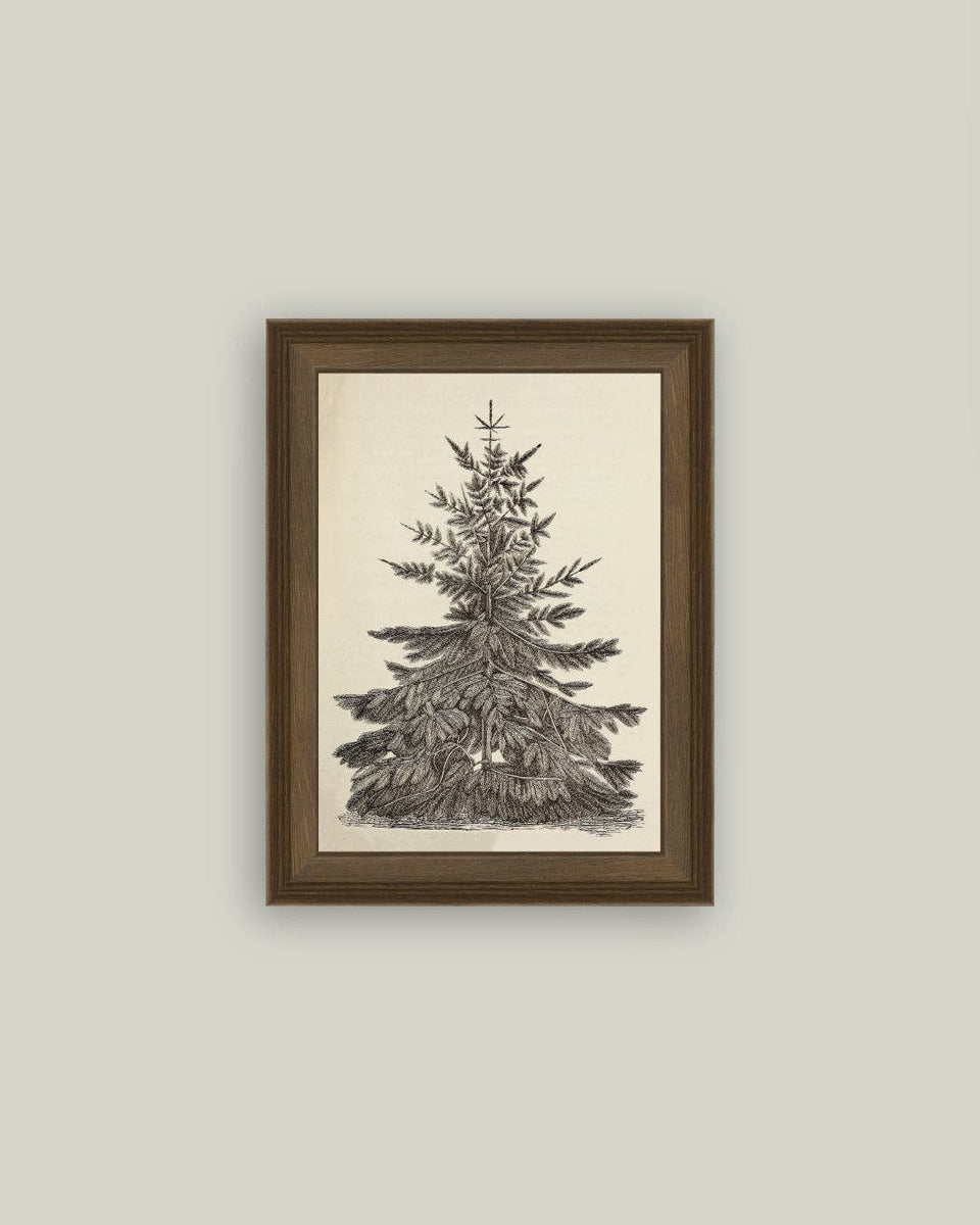 Vintage Pine Tree Framed Antique Art – Eastwood home